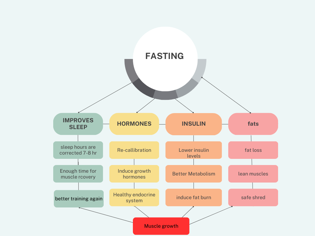 What are the benifits of fasting on Muscle growth and Hormones. – The ...