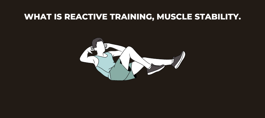 What is reactive training, Muscle stability. – The Gym Drill